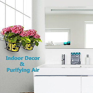 2 Pack Hanging Planters for Railings, Fence Flower Pot Holders Iron Hanging Baskets Plant Stand