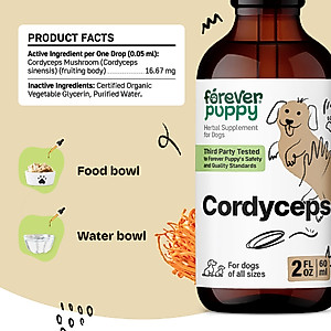 Cordyceps Tincture for Dogs - Mushroom Energy Supplements - Cordyceps Sinensis Liquid Drops for Kidney Detox & Cleanse - Dog Food Supplements for Pet Energy Support & Kidney Wellness - 2 oz