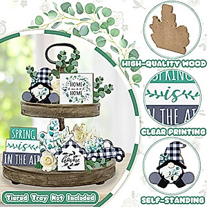 Guoofu Spring Tiered Tray Decor, 6 Pieces Farmhouse Eucalyptus Leaves Tray Decorations, Spring Gnome Wreath Buffalo Plaid Truck Wooden Signs, Rustic Spring Decor for Home Table Mantel Office Party