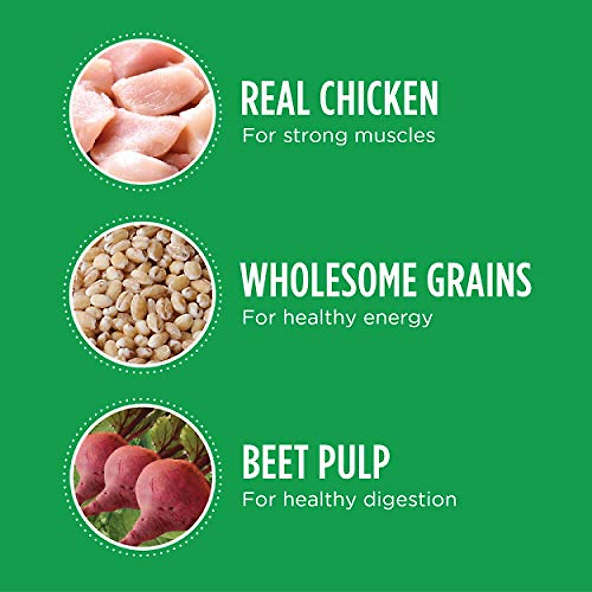 IAMS Adult High Protein Large Breed Dry Dog Food with Real Chicken, 30 lb. Bag