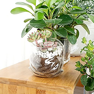 8 Ounce Glass Zipper Bag, 1 Small Glass Bag - Realistic Crinkled Edges, Serve Candy, Popcorn, or Nuts, Clear Glass Bag Bowl, Dishwashable, Flat Base - Restaurantware.