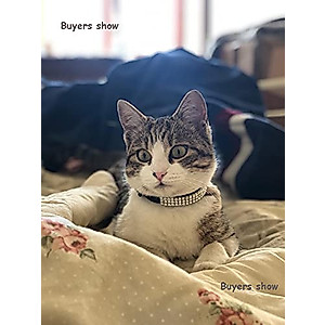 CHUKCHI Soft Velvet Safe Cat Adjustable Collar Bling Diamante with Bells,11 inch for Small Dogs and Cats (Pink)