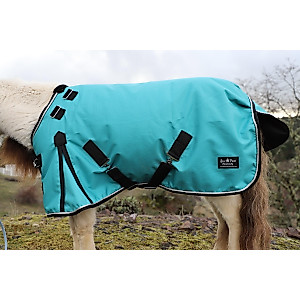 Star Point Horsemanship Mini-Pony Horse Ripstop Waterproof Windproof Blanket Hooded Lightweight Turnout Rain Sheet Breathable Lining 1200 Denier Material 100 Gram Fill (Raspberry, 52-54")