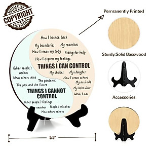 Things I Can Control Poster Therapy Office Desk Decor Psychology Room Home Bedroom Living Room Calming Mental Health School Counseling Classroom Anxiety Teacher, Counselor, Women, Men