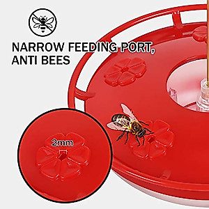 eWonLife Hummingbird Feeder, for Outdoors Hanging, 2 Pack, Leak-Proof, Easy to Clean and Refill, Saucer Humming Bird Feeder, Including Hanging Hook, with 5 Feeding Ports (16 Ounce/Pack)