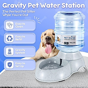 Flexzion Gravity Pet Water Dispenser Drinking Station for Dogs Cats (3 Gallon) Automatic Replenish Waterer for Small Large Breed Dog Cat,Feeding Watering Fountain Supplies Bottle Dish Bowl