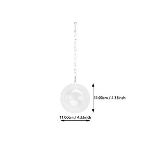 Mipcase 2 PCS Parrot Feeder Toy Bird Foraging Toy Parrot Forager Toy Bird Foraging Feeder Clear Pet Birds