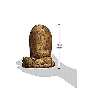 Exo Terra Water Well, Reptile Terrarium Water Dispenser