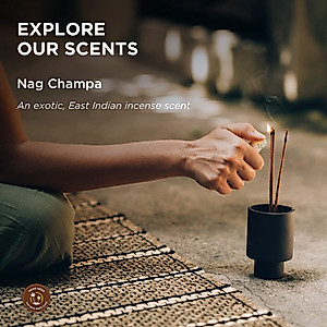 Hemp Seed Hand & Body Lotion, Nag Champa Scent - 16 Fl Oz - Soothe Dry Skin - Argan Oil, Hemp Seed Oil - Light, Non-Greasy Formula - Vegan & Cruelty Free