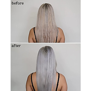 Pallure Blonde Toning Shampoo, Reduces Brassiness And Yellow Tones – For Blonde, Platinum, Bleached, Silver Hair, Vegan and Cruelty Free 33.8 Fl Oz