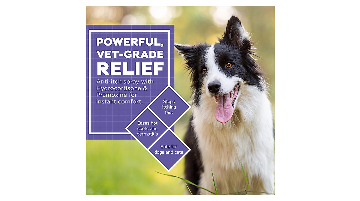 VetWELL Hydrocortisone Spray for Dogs & Cats - Itch Relief & Healing