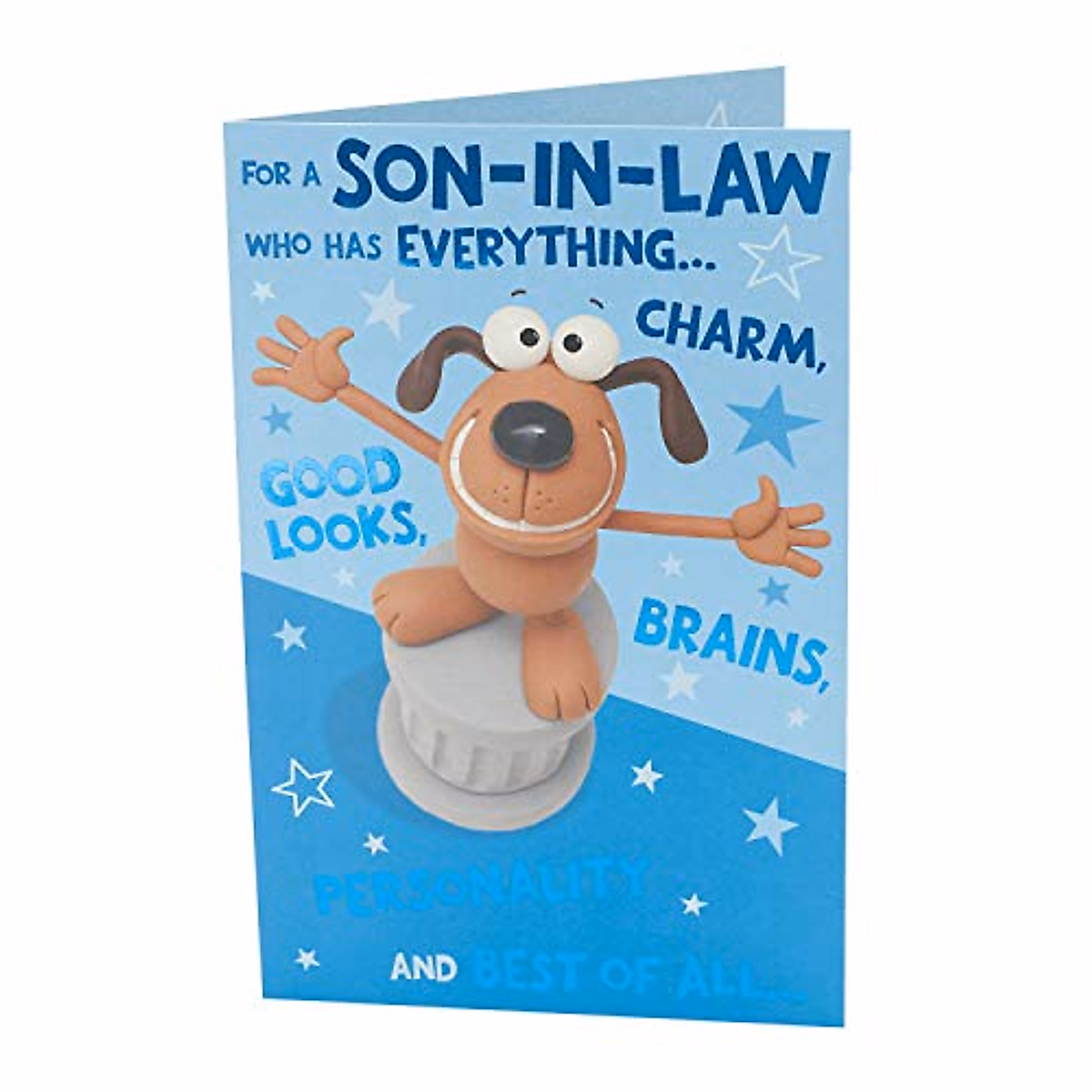 Cute Funny Son-In-Law Birthday Greeting Card Crackers Range Cards New