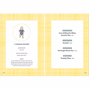 We're Pregnant! The First Time Dad's Pregnancy Handbook