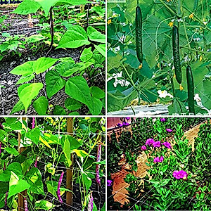 HHTHH White Trellis Netting 5x100 ft Heavy Duty Garden Trellis Netting Polypropylene Plant Support Garden Net for Climbing Vegetables Fruits Flowers