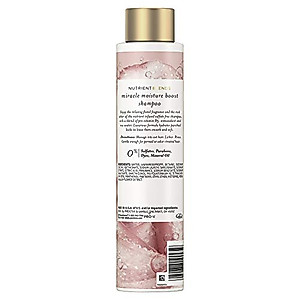 Pantene Nutrient Blends Miracle Moisture Boost Rose Water Shampoo for Dry Hair, Sulfate Free, Floral, 9.6 Fl Oz