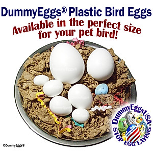 Plastic Large Parrot Eggs for Macaw & Cockatoo. 2 Dummy Solid Non-Toxic Fake Decoy Faux Mock Eggs 1-7/8" x 1-1/2" (4.8 x 3.8cm)