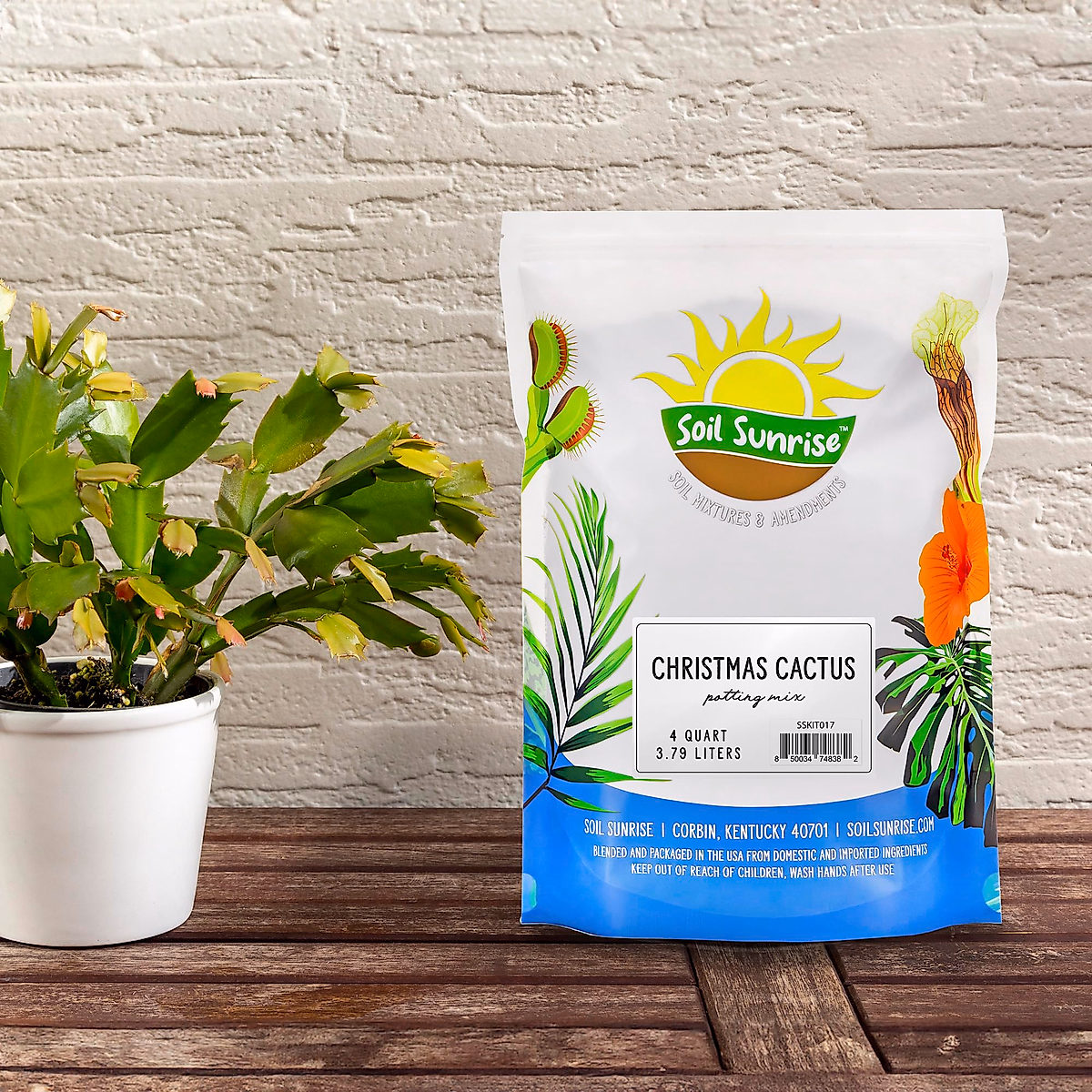 Christmas Cactus Potting Soil Mix (4 Quarts), Hand Blended Soil for Indoor Houseplants Custom Blended