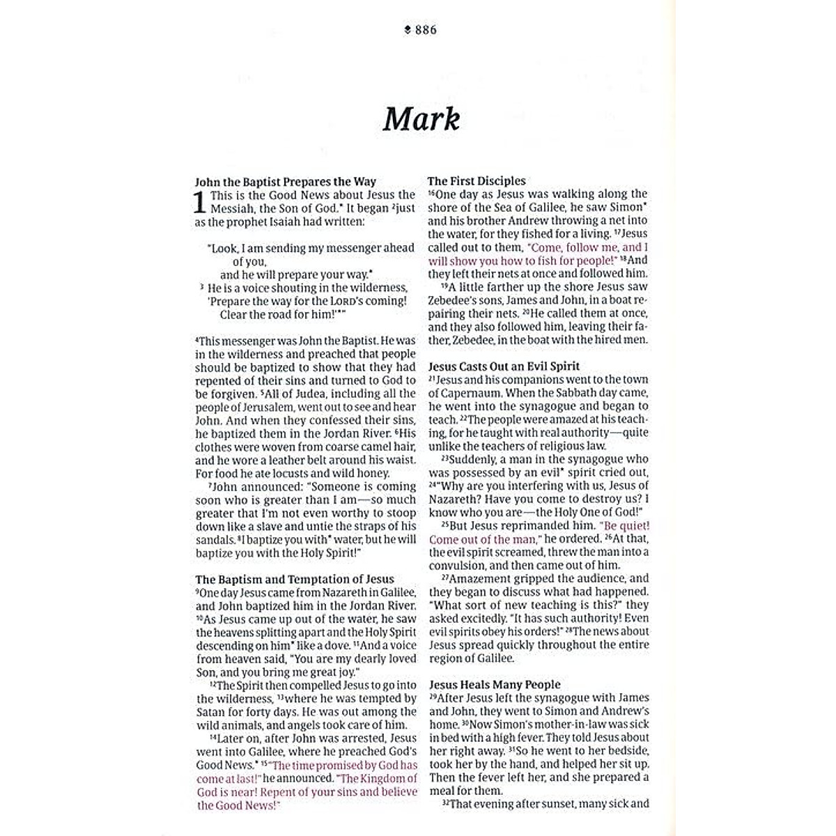 Personalized NLT Thinline Reference Bible Filament Enabled Edition Soft Leather-look, Rustic Brown, Baptism, Graduations, New Living Translation