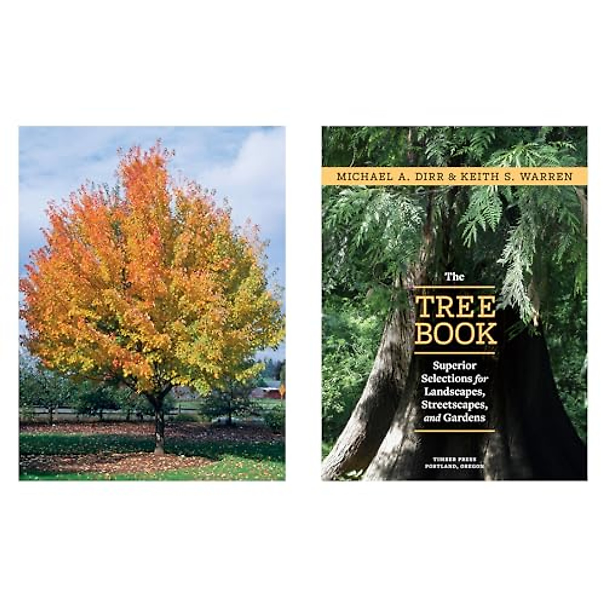 The Tree Book: Superior Selections for Landscapes, Streetscapes, and Gardens