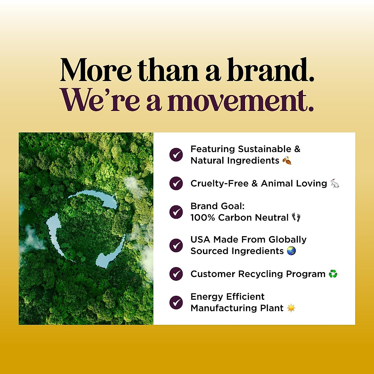 Lemon Sage Shampoo for Oily Hair - Sulfate Free Clarifying Shampoo for Build Up with Lemon Sage Keratin and Tea Tree Oil for Hair and Scalp Care - Deep Cleansing Rosemary Shampoo for Men and Women