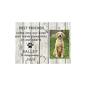 Custom Dog Photo and Name Panel for Tabletop Display 8x6 Inches Best Friends Pet Sympathy Gift Personalized Dog and Cat Memorial Gifts
