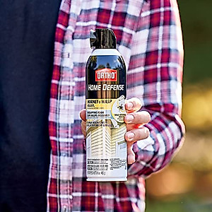 Ortho Home Defense Hornet & Wasp Killer7