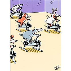 Oatmeal Studios Dogs Riding Exercise Bikes Funny/Humorous Birthday Card