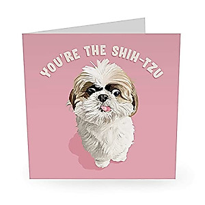 Central 23 - Cute Animal Birthday Card - “You’re The Shih-Tzu”- For Men & Women - Mom Dad Husband Wife Brother Sister Cute Cards - Comes with Fun Stickers