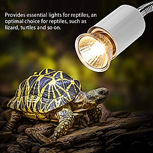 Pssopp 25W/50W 220‑240V Heating Light Aquarium Heat Basking Lamp LightB Bulb for Reptile Lizard Turtles(50W)