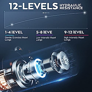 ANCHEER Rowing Machine, Hydraulic Rowing Machines for Home Use Foldable with 12 Resistance Levels & Upgraded LCD Monitor, 290LBS Loading Capacity for Full Body Cardio Exercise