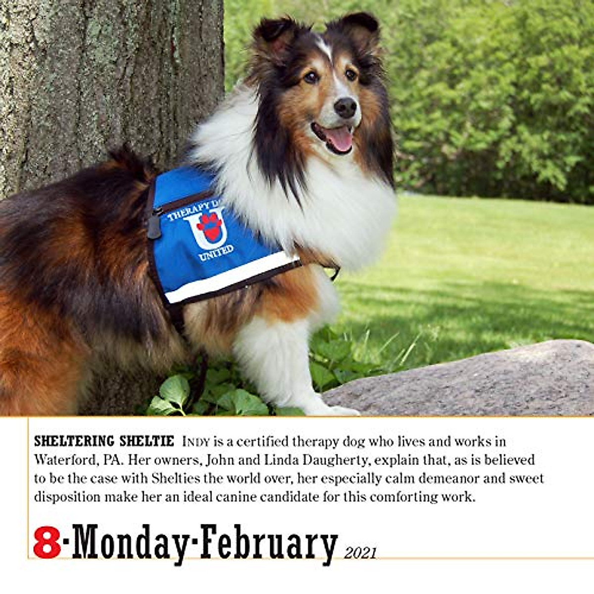 365 Dogs Page-A-Day Calendar 2021