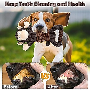 Letsmeet Dog Squeak Toys Plush Dog Toy with Crinkle Paper, Tug of War Pull Interactive Dog Toys for Puppies, Small, Medium, Large Dogs