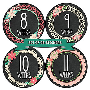 Months In Motion Pregnancy Weekly Belly Growth Stickers - Week to Week Pregnant Expecting Photo Prop - Maternity Keepsake - Baby Bump - Large Set of 36 Weekly Photo Sticker
