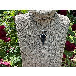 Starborn Fossil Shark Tooth Pendant in Sterling Silver - MD