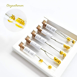 KKOKDAM Tea Korean Gifts - Chrysanthemum Flower Tea Stick - Blooming Tea Flowers, Korean Tea Set, Unique Tea Gifts, Fancy Tea Sets, Korean Gift Set, Loose Leaf Tea Set - 5 Count