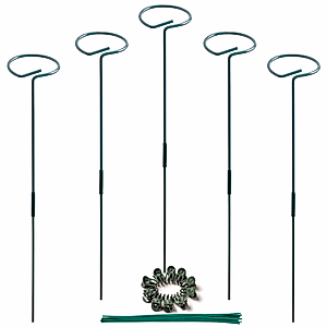 YEENIM 5 Pcs Plant Support Stakes, 30 Inch (15.75"+15.75") Tall Single Stem Plant Sticks, Garden Stake for Indoor Outdoor Flowers Amaryllis Tomatoes Peony Lily Rose Narcissus