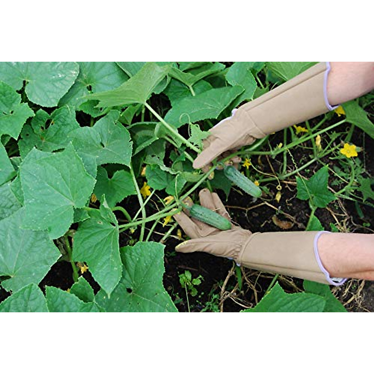 MAGID HandMaster Professional Rose Pruning Gloves, 1 Pair, Size 9/Large, BE195T