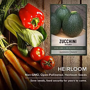 Round Zucchini Seeds for Planting Heirloom, Non-GMO Vegetable Summer Squash Container Variety- 3 Grams Seeds Great for Summer Garden by Gardeners Basics