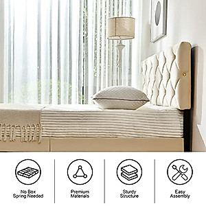 AsKmore Queen Size Bed Frame,Velvet Upholstered Platform with Headboard and Strong Wooden Slats,Non-Slip and Noise-Free,No Box Spring Needed, Easy Assembly,Beige