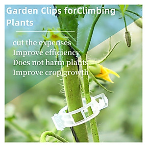Secured Plastic Plant Clip, 2024 Upgrade Plant Support Clips, Garden Clips for Climbing Plants, Tomato Clips, Plastic Trellis Clips Plant Support Clips，Plastic Trellis Clips Plant Support Clips Grape