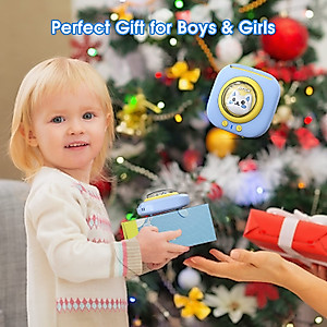 Talking Flash Cards Toddler Learning Toys for 3 4 5 Years Old Boys Girls, Niyann Educational Toys 224 Words Audible Preschool Learning Resources Christmas Birthday Gifts for Kids Ages 3-6