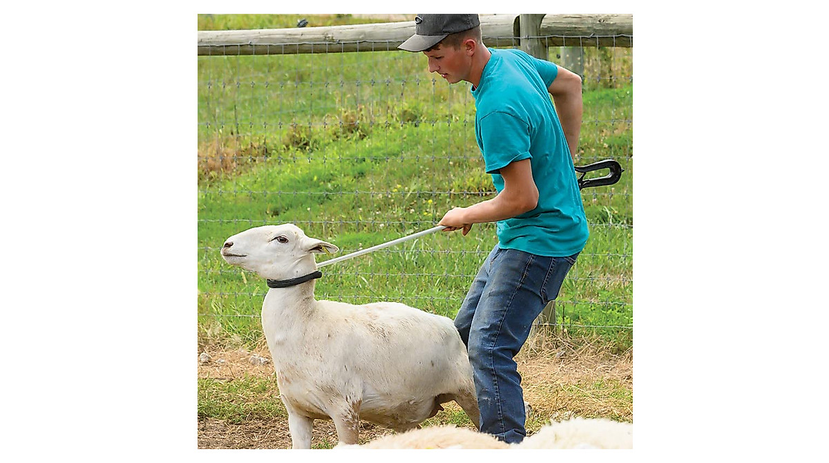 Premier Kiwi Crook 53" Sheep & Goat Catching Crook | Durable & Versatile