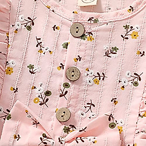 Toddler Girl Dress Fall Winter Clothing Kids Long Sleeve Ruffle Skirt Outfits Floral Dresses (Pink, 2-3T)