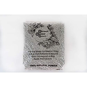 3 Gallon Bag Garden Pumice (3/16" Stone) 13lbs