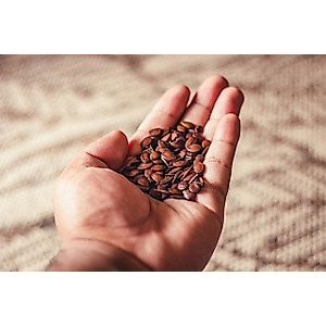 Bulk Whole Flax Seed Omega-3 Fatty Acid Supplement for Horses 10 Pounds