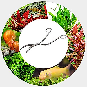 JIAYOUXILE Aquarium Scissors-Aquarium Fish Tank Stainless Steel Mirror Wave Scissors ,Professional Water Grass Scissors Landscape Maintenance Tools ,Perfect for Aquarium TankAquarium Plant Tool .