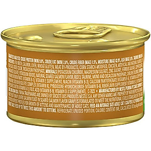 LAIBY Fancy Feast Wet Cat Food | Gravy Lovers Salmon Feast in Seared Salmon Flavor Gravy | Fancy Feast Kitten Wet Food | 3 Oz Can (Pack of 12)