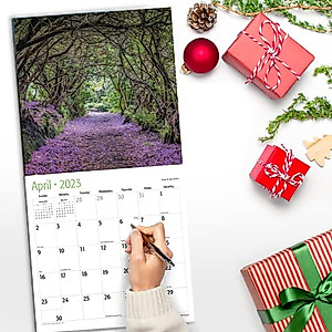 RED EMBER Pathways 2023 Hangable Wall Calendar - 12" x 24" Opened - Thick & Sturdy Paper - Giftable - This Is the Way