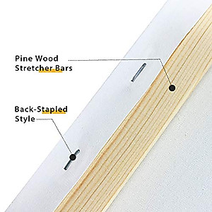 PHOENIX Watercolor Stretched Canvases, 10x20 Inch/4 Pack - 8 Oz, 3/4 Inch Profile, 100% Cotton Triple Primed White Blank Canvases for Watercolor, Acrylic, Gouache, Tempera, Crafts & Pouring Art