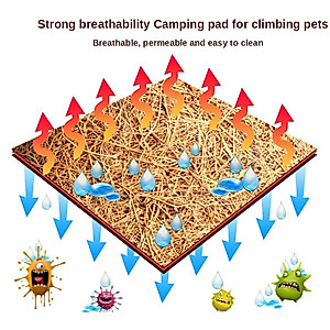 BATRC SYXYSM Natural Coconut Palm Fiber Mat Reptile Lizard Snake Chameleon Carpet Reptile Supplies Moisture-Proof Substrate (Size : 5.75 * 15.75in)